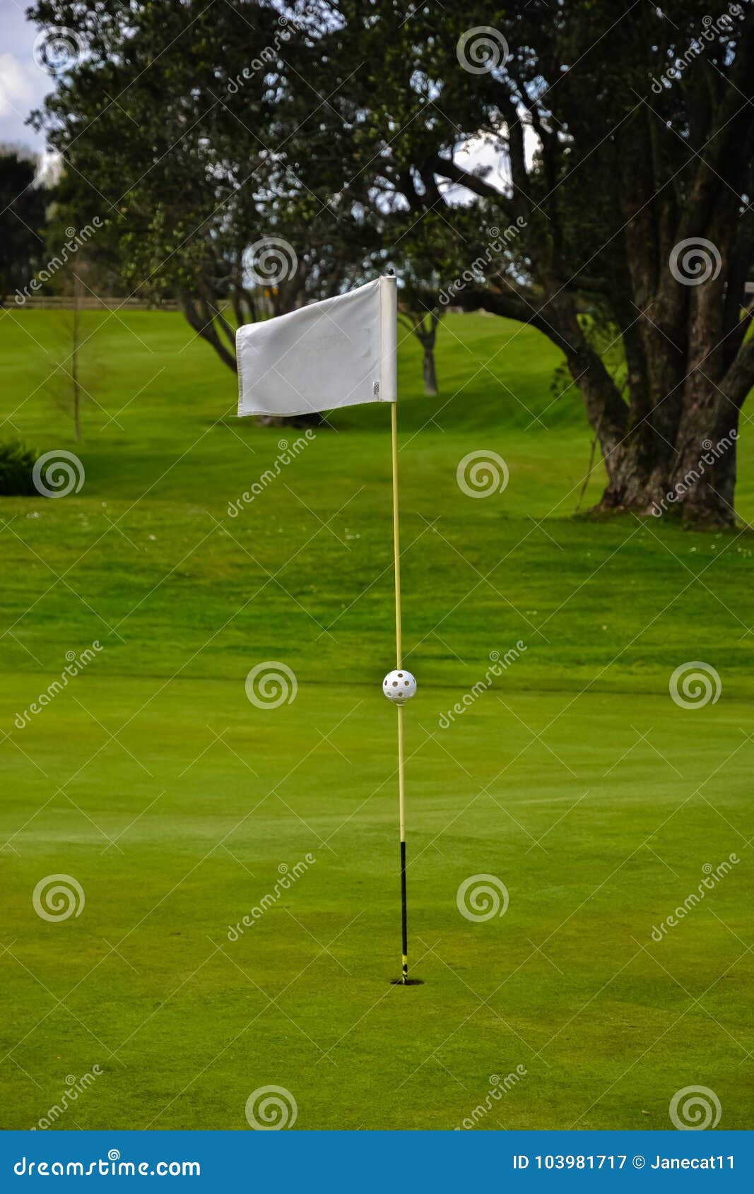 Golf Flag Marking Hole Position on Golf Course Stock Image - Image of ...