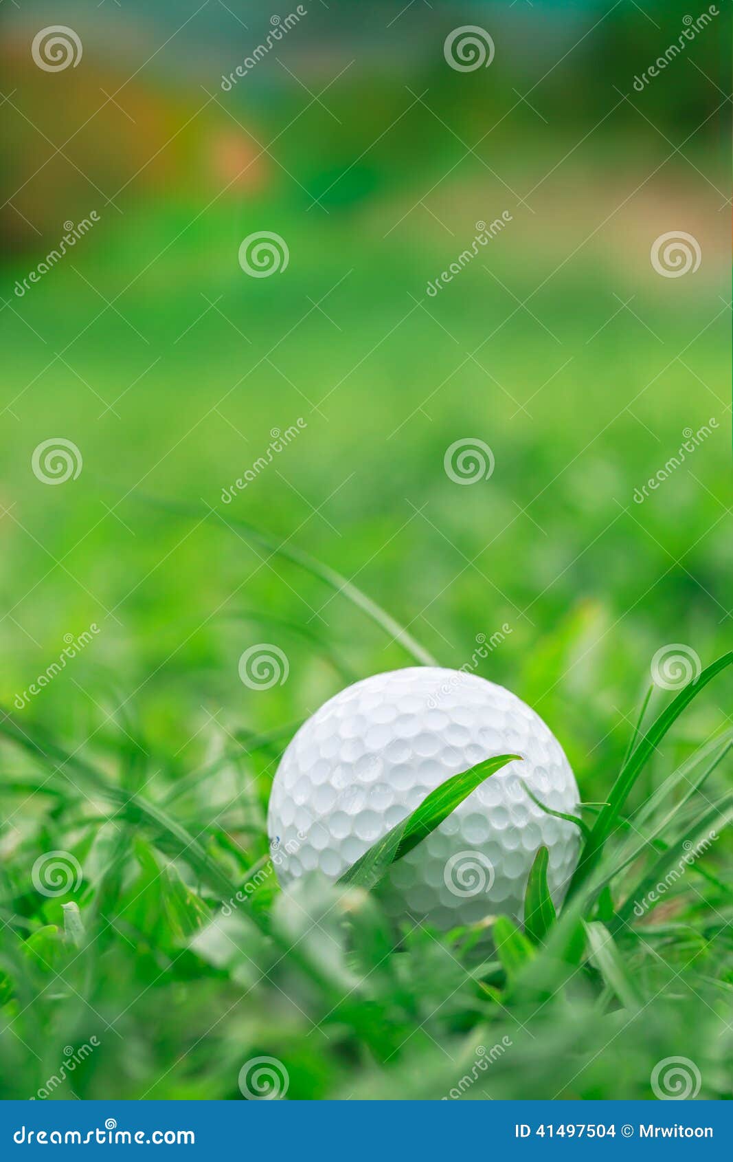 Golf on grass Rough stock photo. Image of game, competition - 41497504