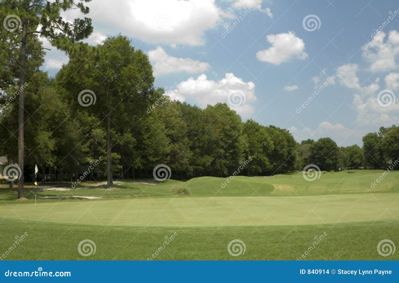 Golf Green 1 stock photo. Image of meticulous, grass, sport - 840914