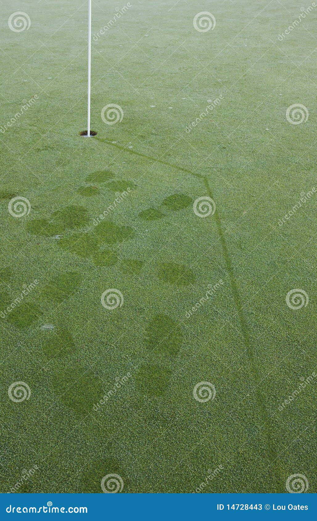 Golf green stock image. Image of morning, flag, footsteps - 14728443