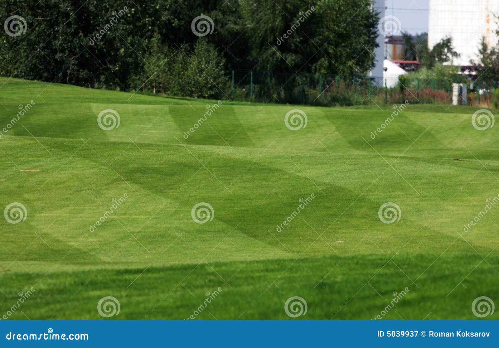 Golf green stock image. Image of sports, real, lifestyle - 5039937