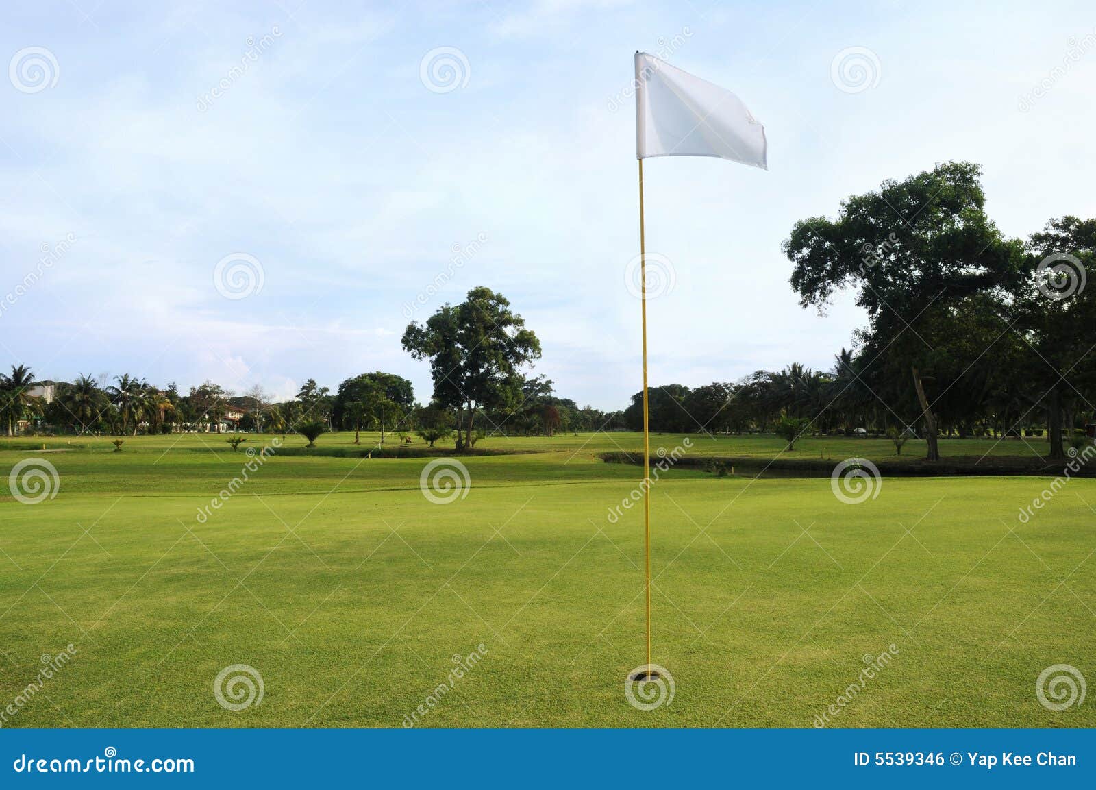 Golf Green stock photo. Image of beautiful, greenery, relax - 5539346