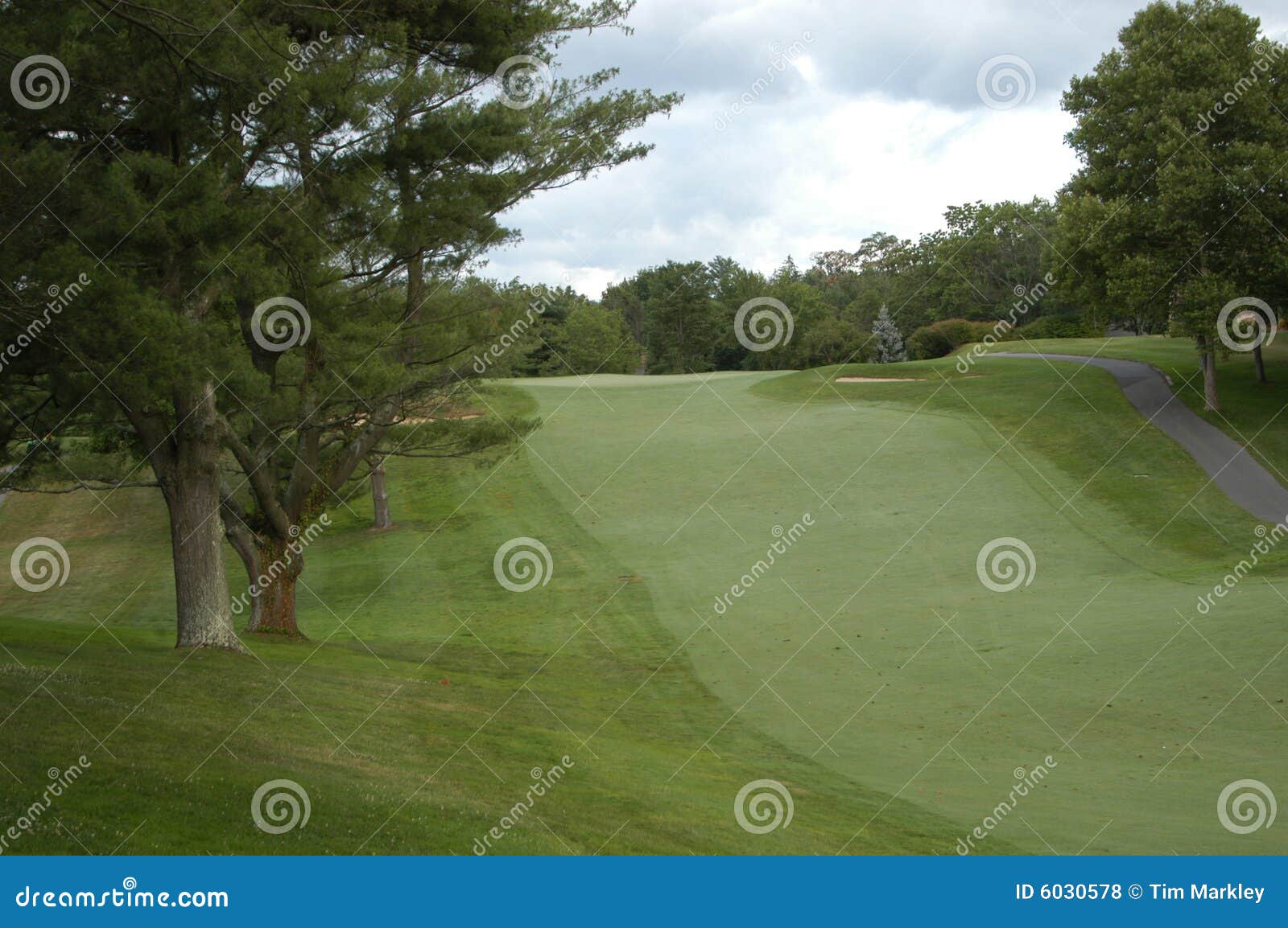 Golf Green Picture. Image: 6030578