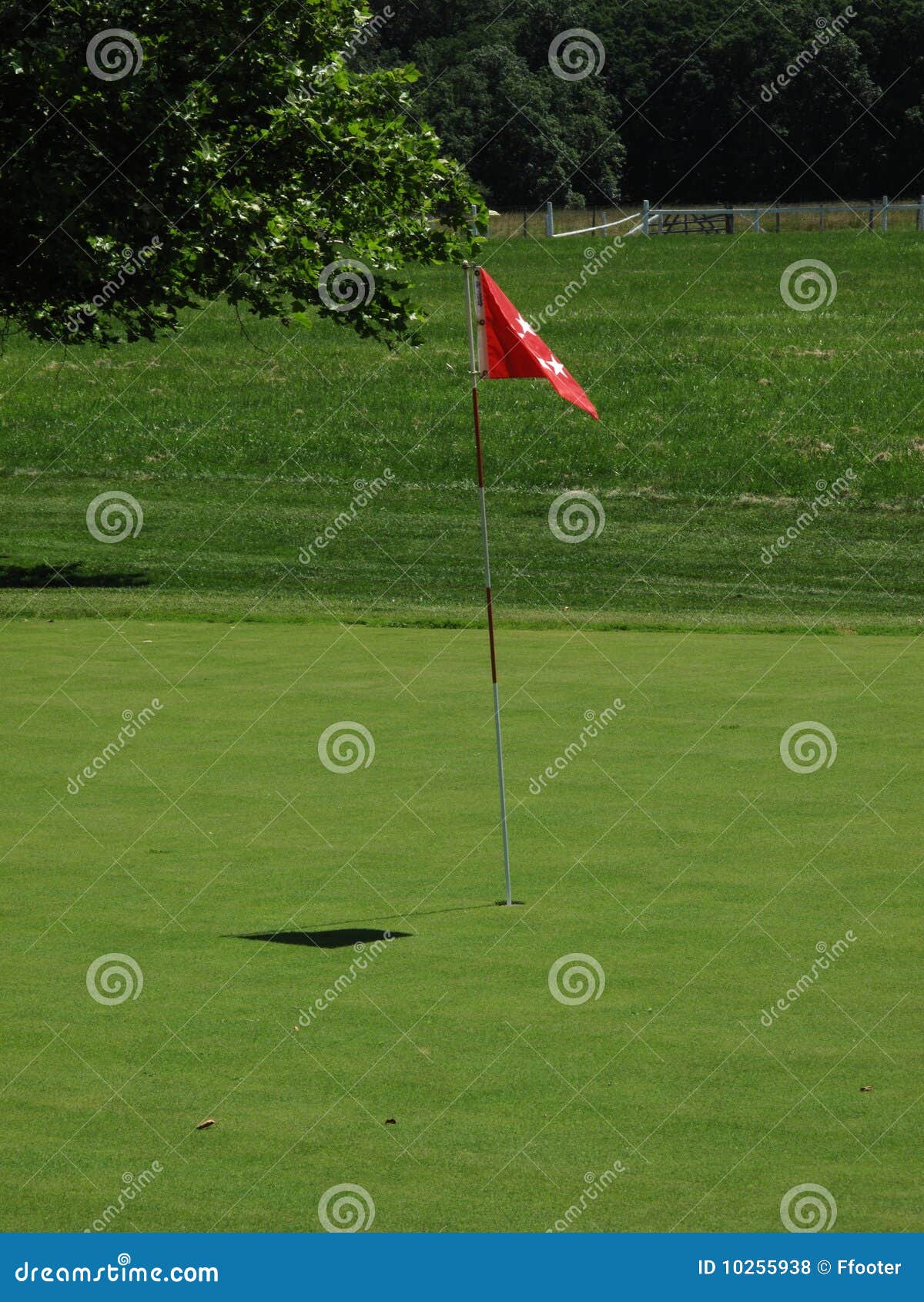 Golf Green and Flag stock photo. Image of travel, fareway - 10255938