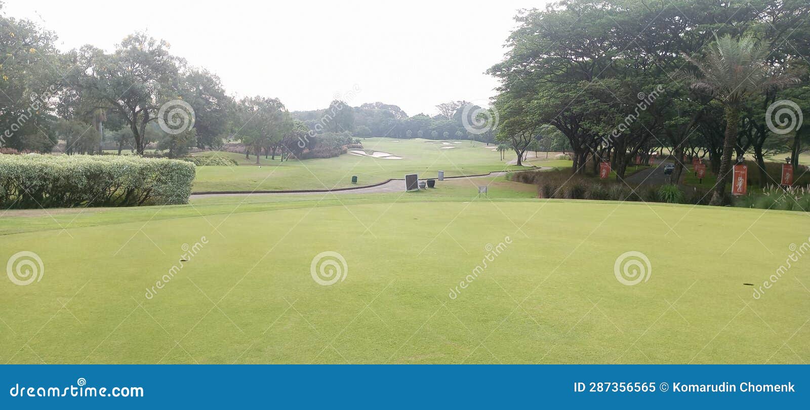 Green Java Peacock Standing At The Water Side, Beautiful Colorful Bird ...