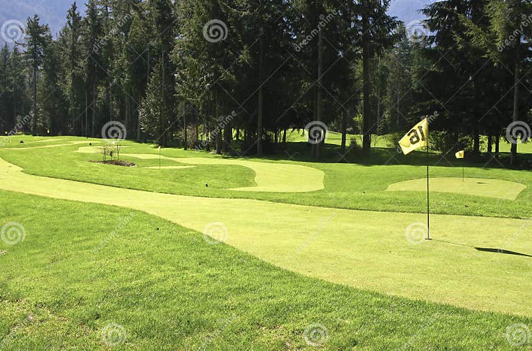 Golf green and pin stock photo. Image of recreation, nature - 8387846