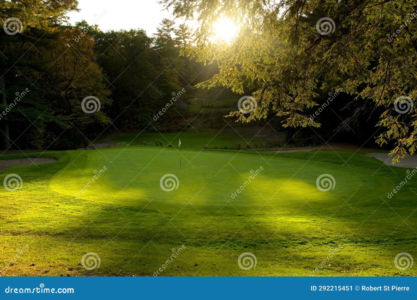 Golf Green Surrounded by Trees with Sun Rays Stock Image - Image of ...