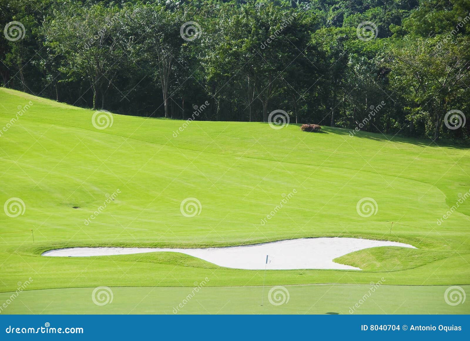 Golf Greens stock photo. Image of leisure, people, golf - 8040704