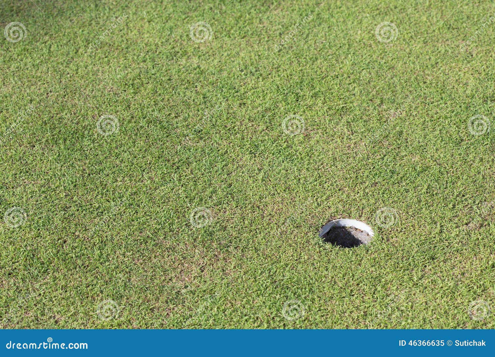 Golf hole on green grass stock image. Image of grass - 46366635