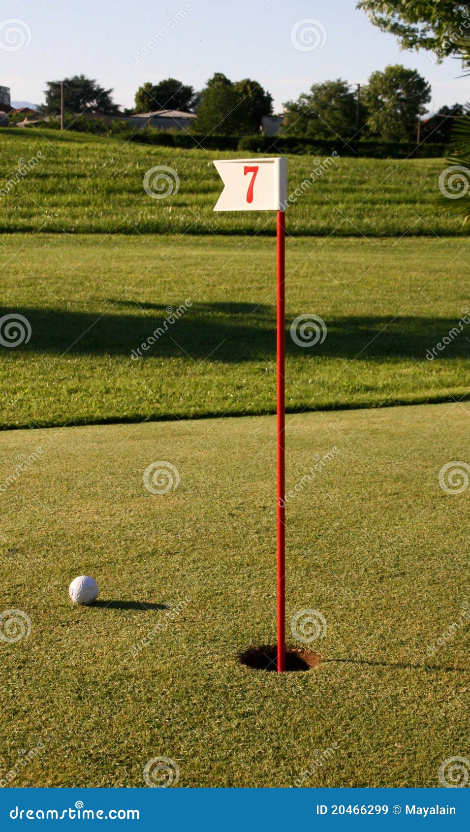 Golf hole number 7 stock image. Image of play, sport - 20466299
