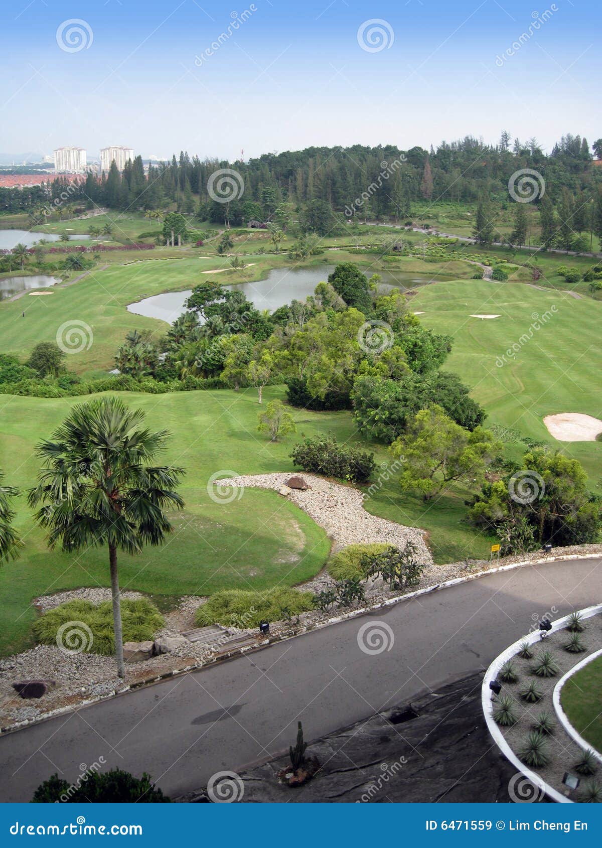 Golf land stock image. Image of golf, ground, green, wood - 6471559
