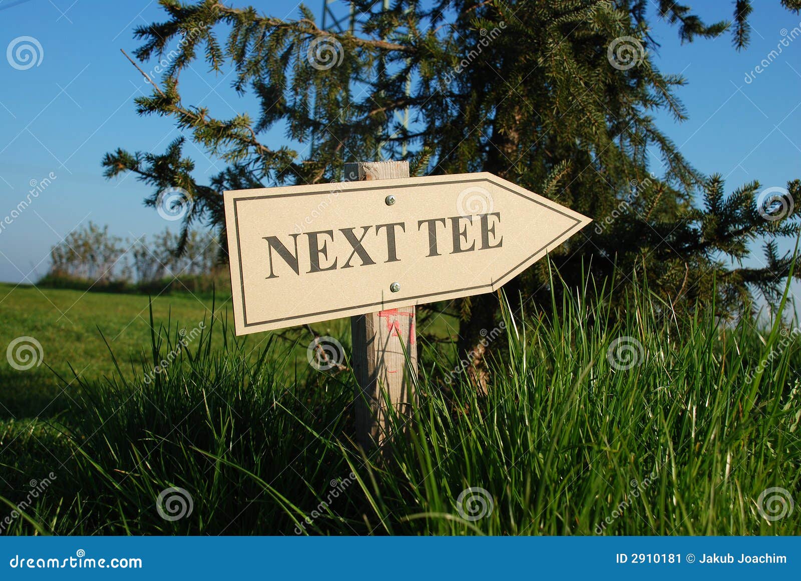 Golf - Next Tee stock image. Image of green, czech, tees - 2910181