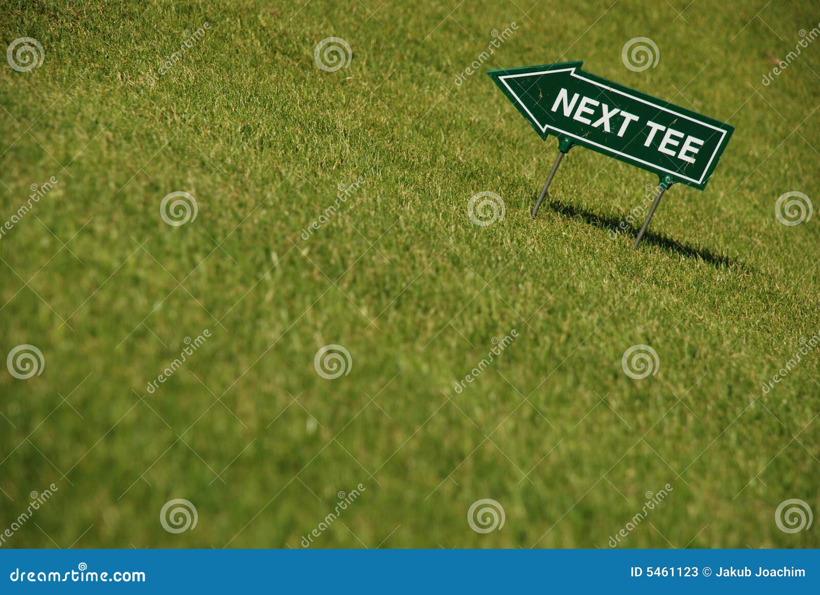 Golf - Next tee stock image. Image of czech, republic - 5461123