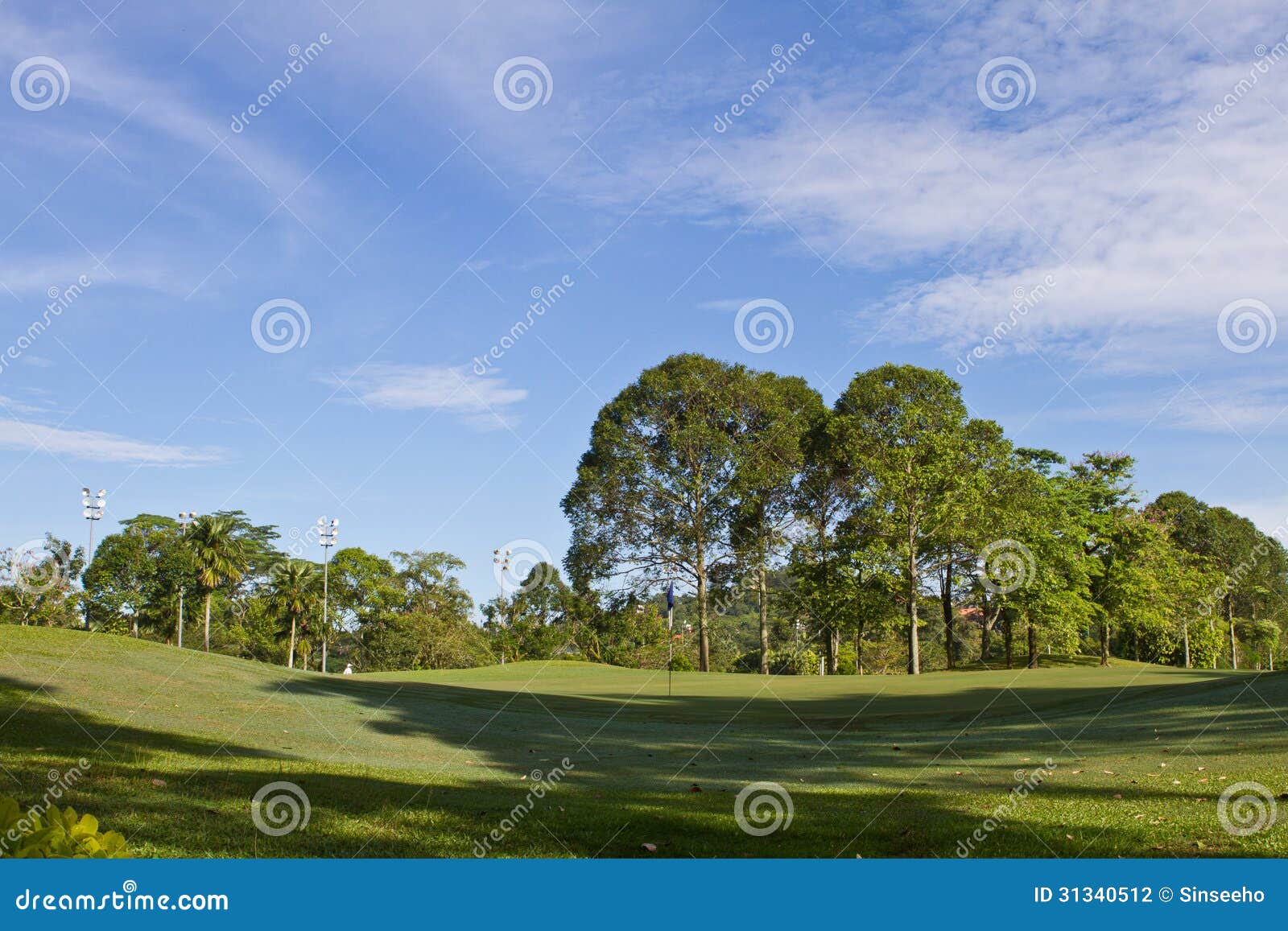 Golf Park stock photo. Image of beauty, nature, plant - 31340512