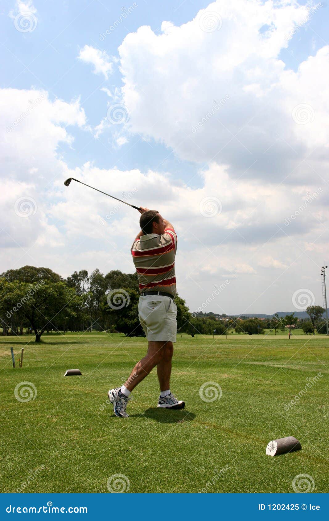 Golf Player stock image. Image of sport, greens, summer - 1202425