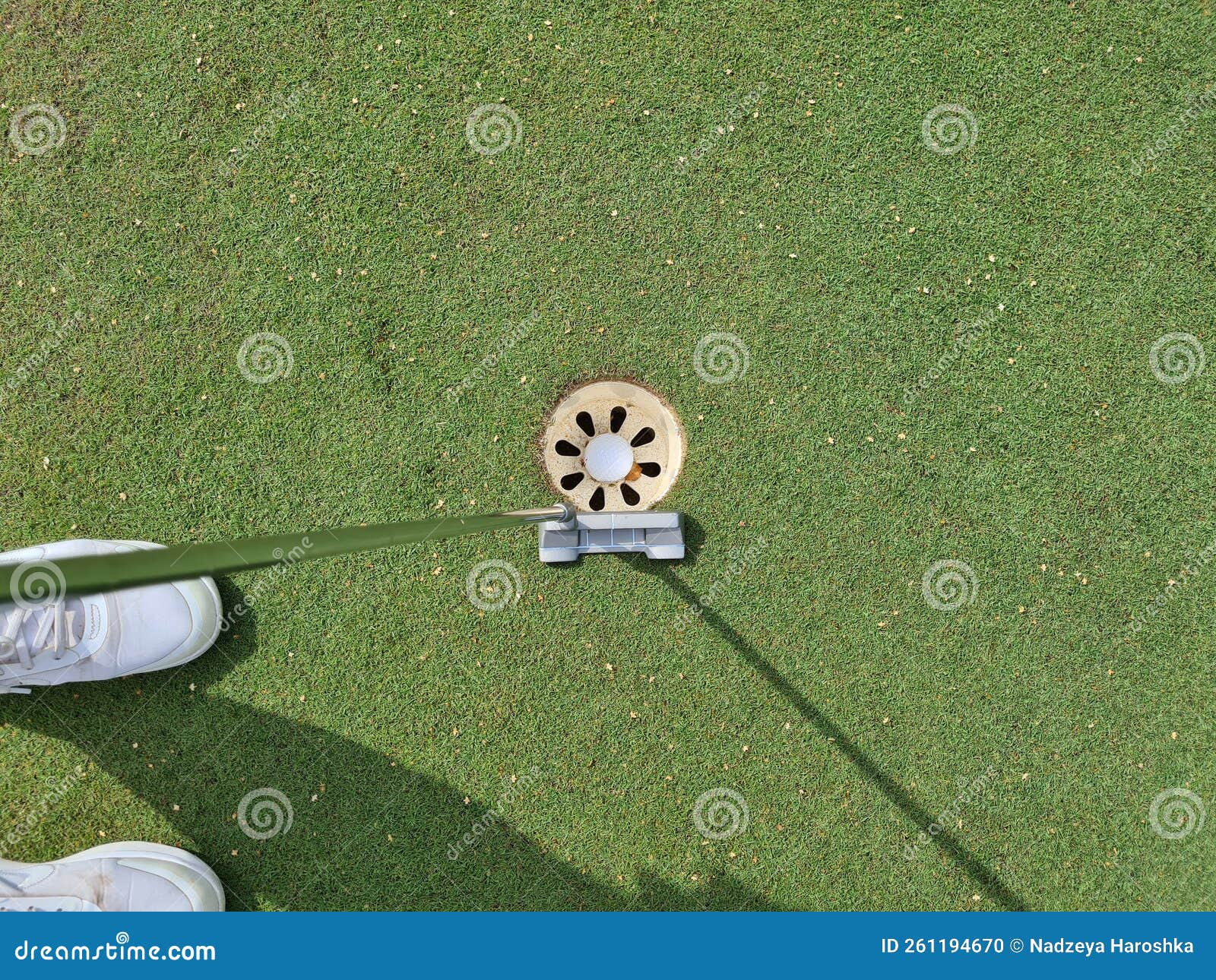 Golf Player with Putter and Ball in Hole on Green Stock Photo - Image ...