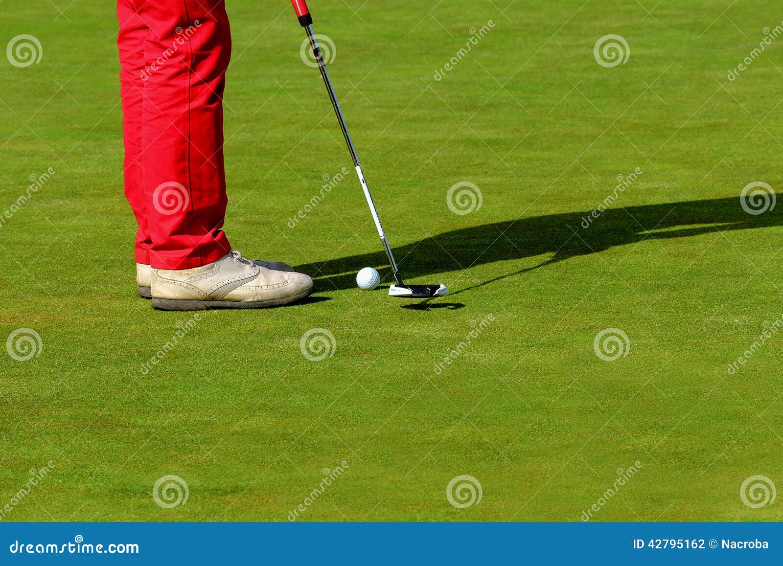 Golf player stock photo. Image of person, golfing, green - 42795162