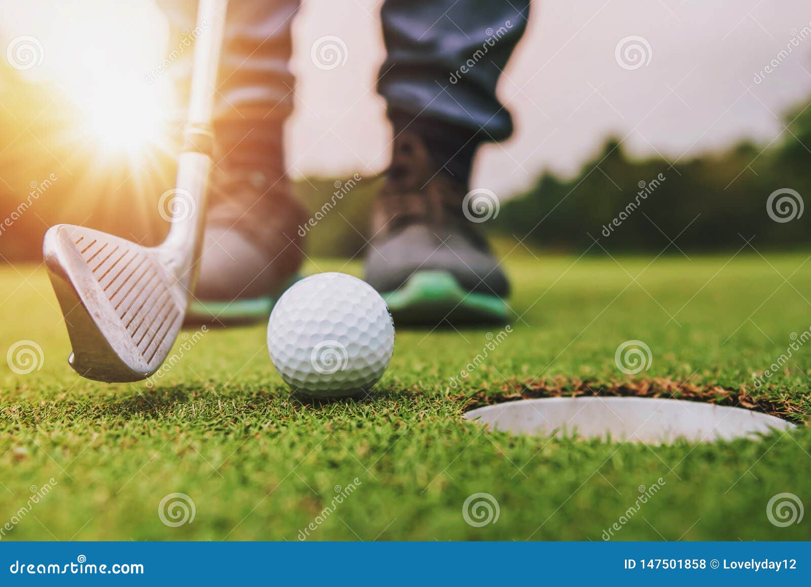 Golf Player Putting Golf Ball into Hole Stock Photo - Image of club ...