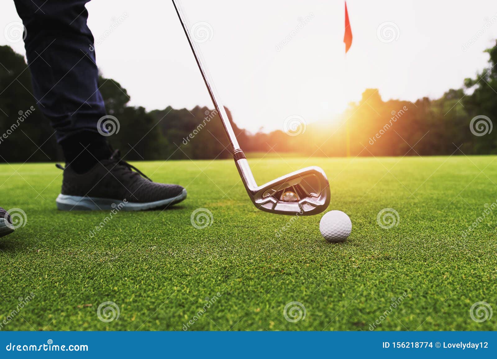 Golf Player Putting Golf Ball into Hole Stock Photo - Image of putting ...