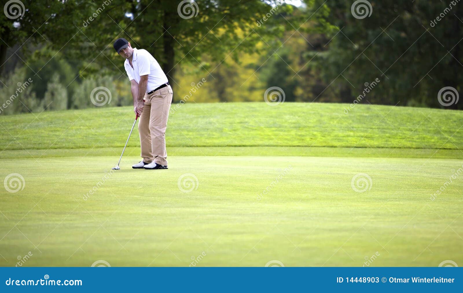 Golf Player Putting on Green Stock Image - Image of lawn, hobby: 14448903