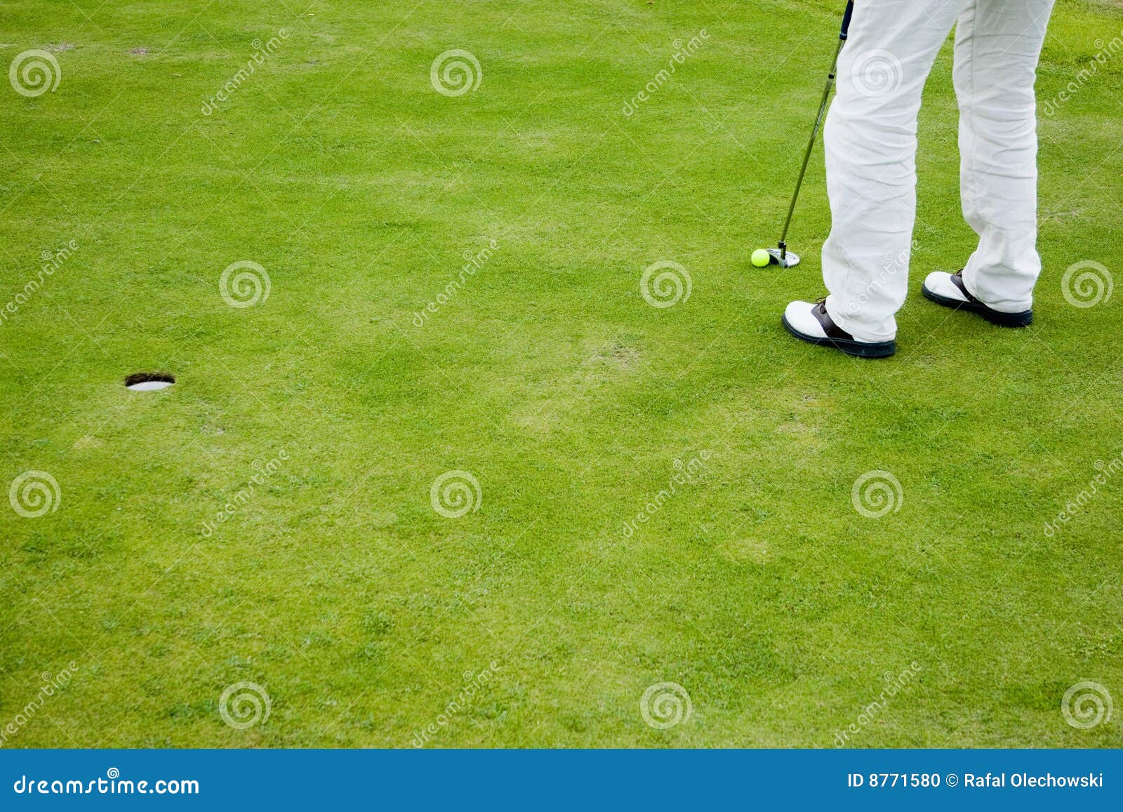 Golf Player on Putting Green Stock Photo - Image of driver, leisure ...