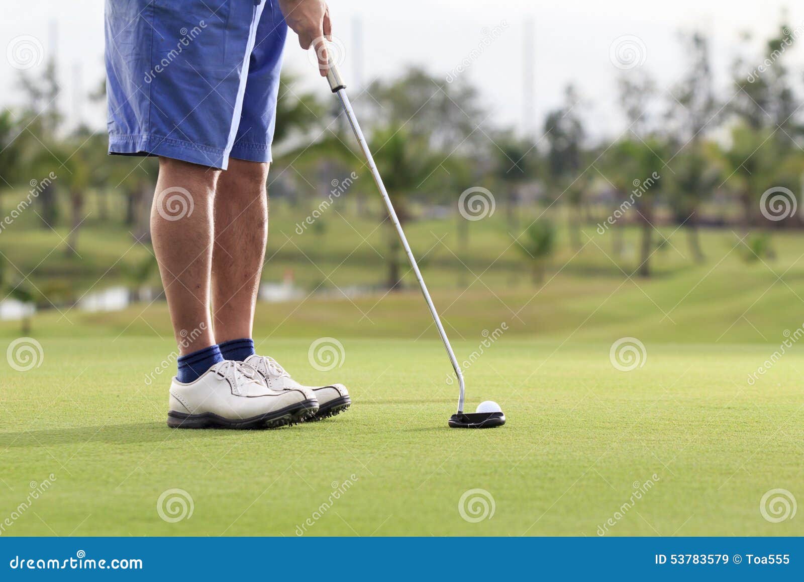 Golf Player Putting on the Green Stock Image - Image of game, club ...