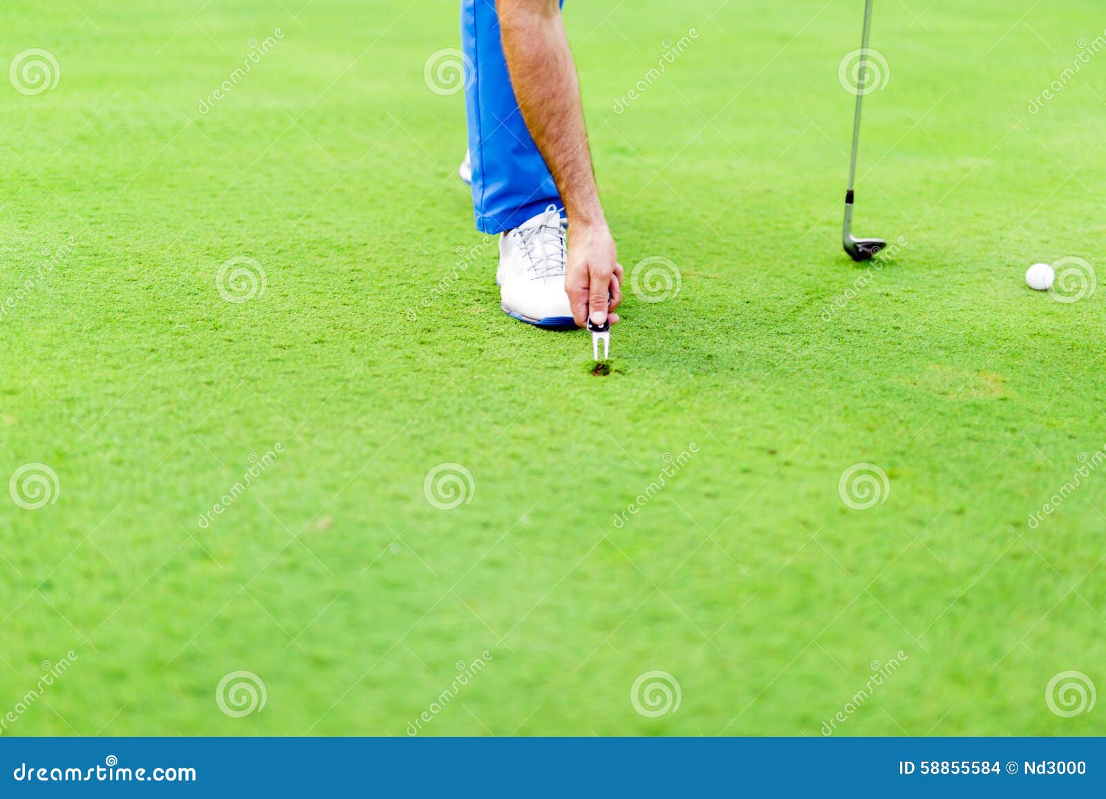 Golf Player Repairing Divot Stock Photo - Image of winner, golf: 58855584