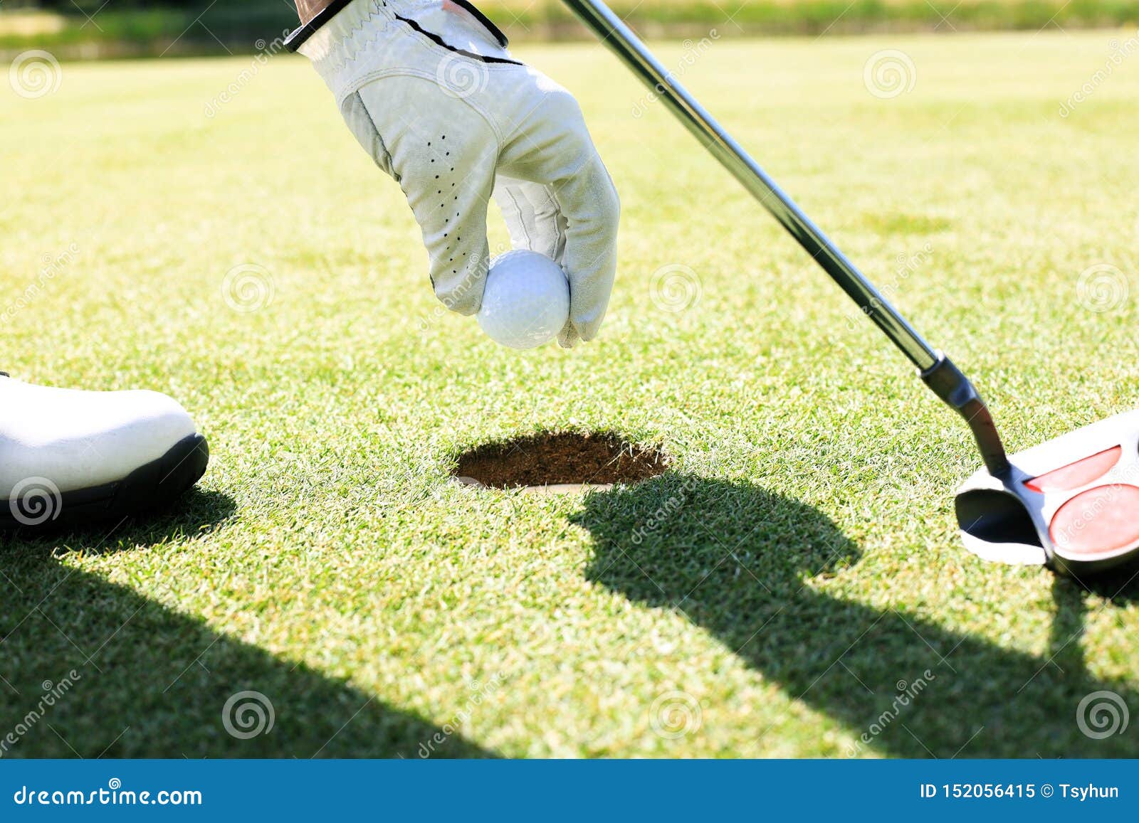 Golf Player Takes the Ball Out of the Hole Stock Image - Image of ...