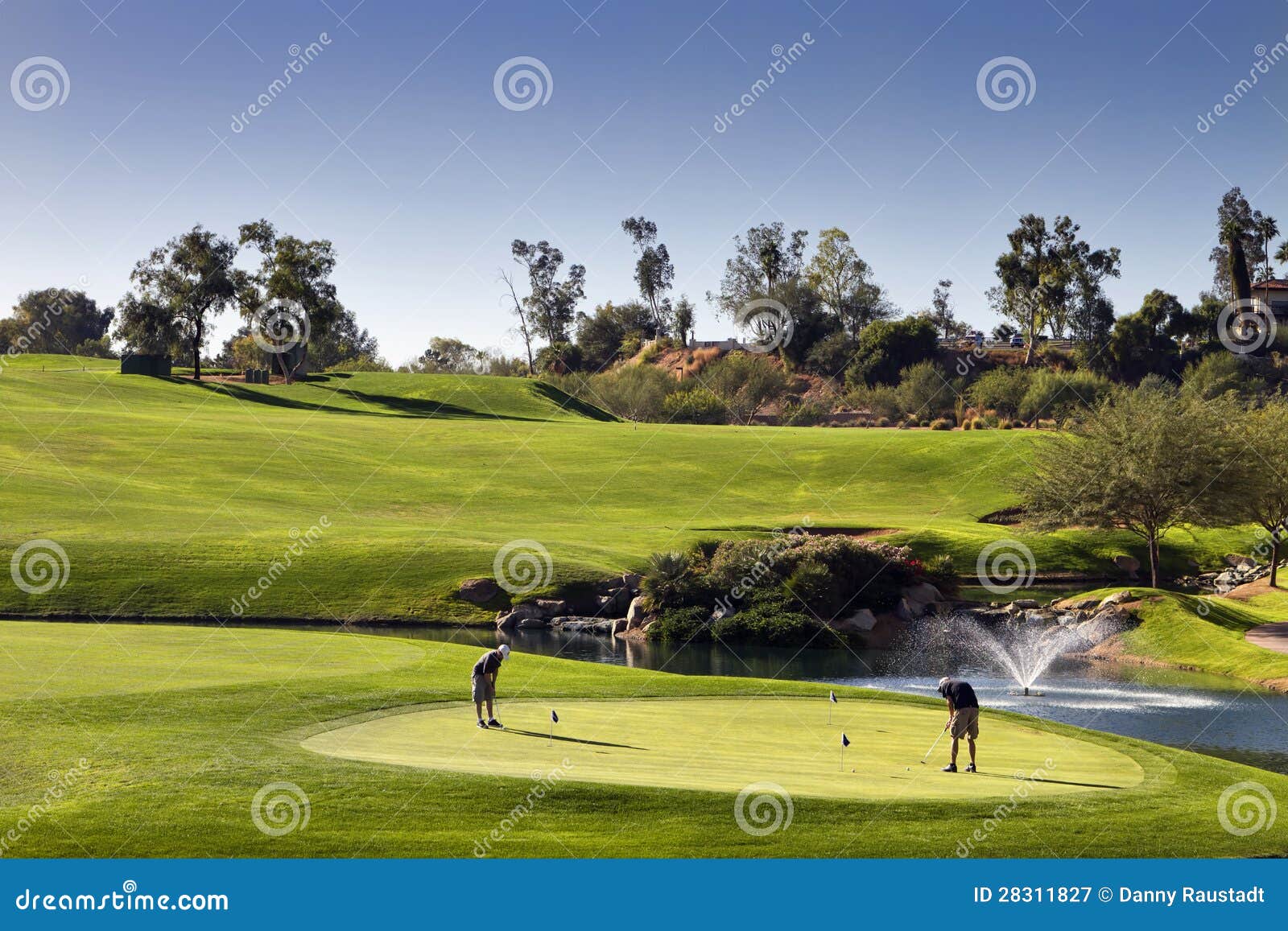 Golf Practice Green stock image. Image of arizona, background - 28311827