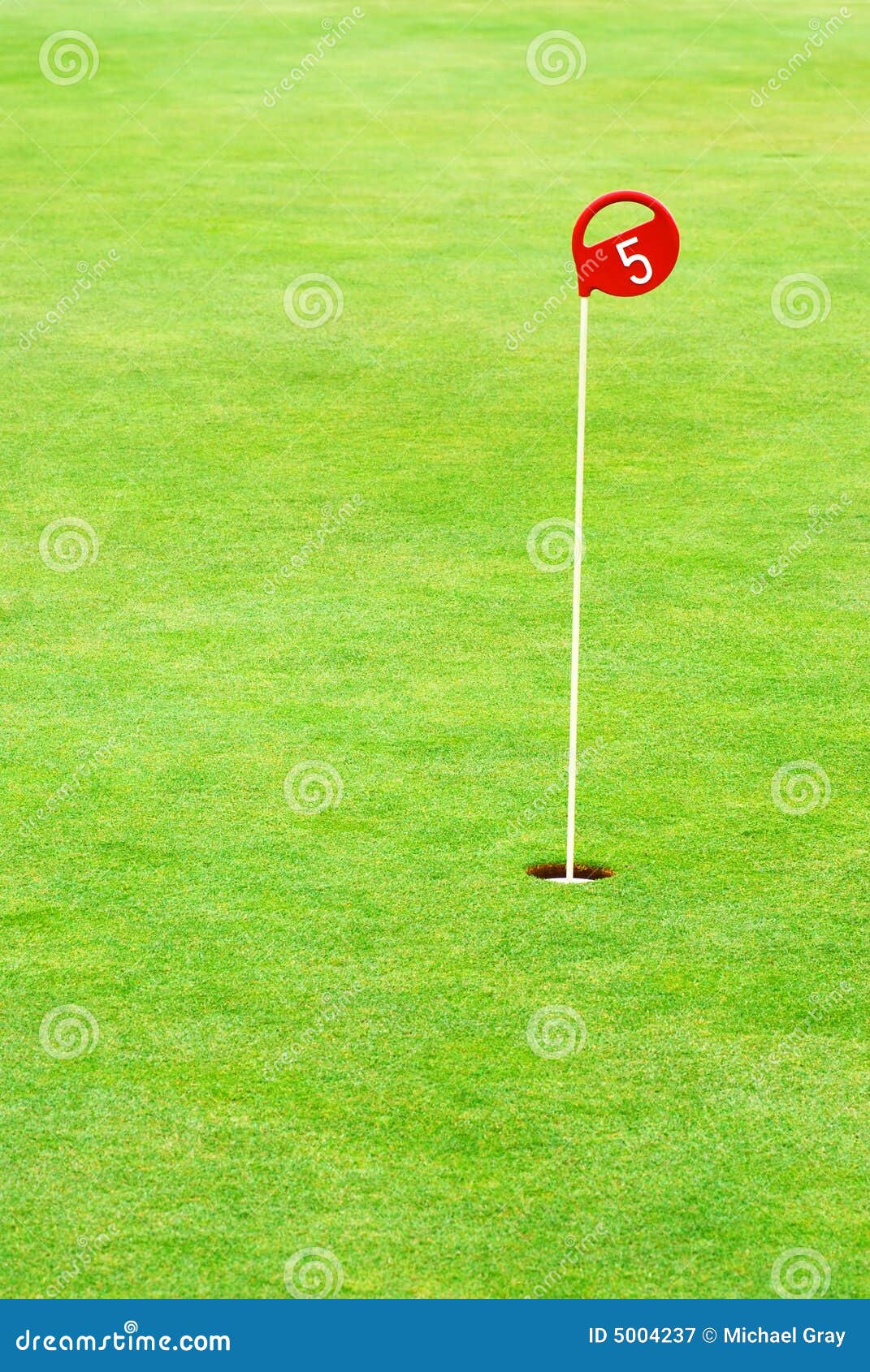 Golf practice putting hole stock image. Image of exercise - 5004237