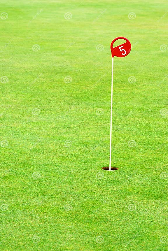 Golf practice putting hole stock image. Image of exercise - 5004237
