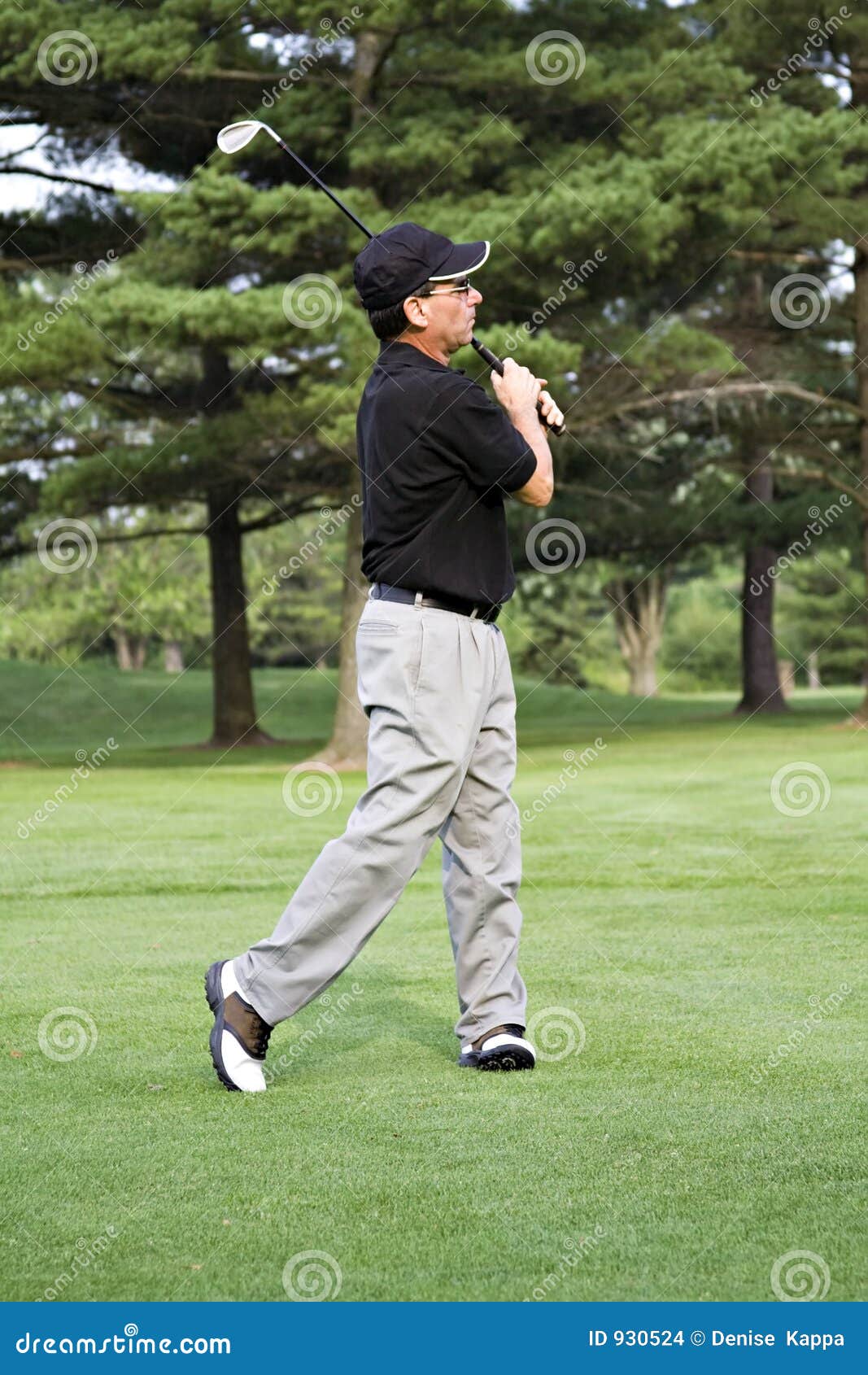 Golf Pro stock photo. Image of stance, healthy, relax, birdee - 930524
