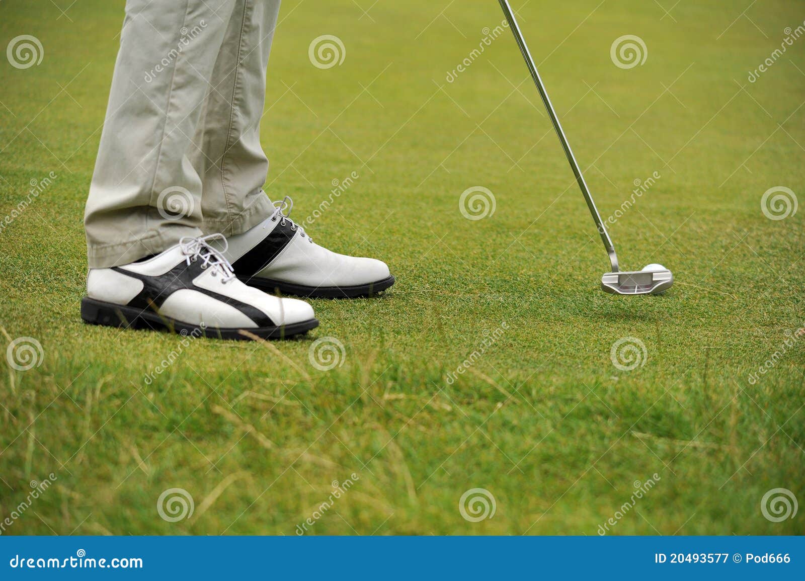 Golf Putting from the Fringe Stock Image - Image of ball, golfer: 20493577
