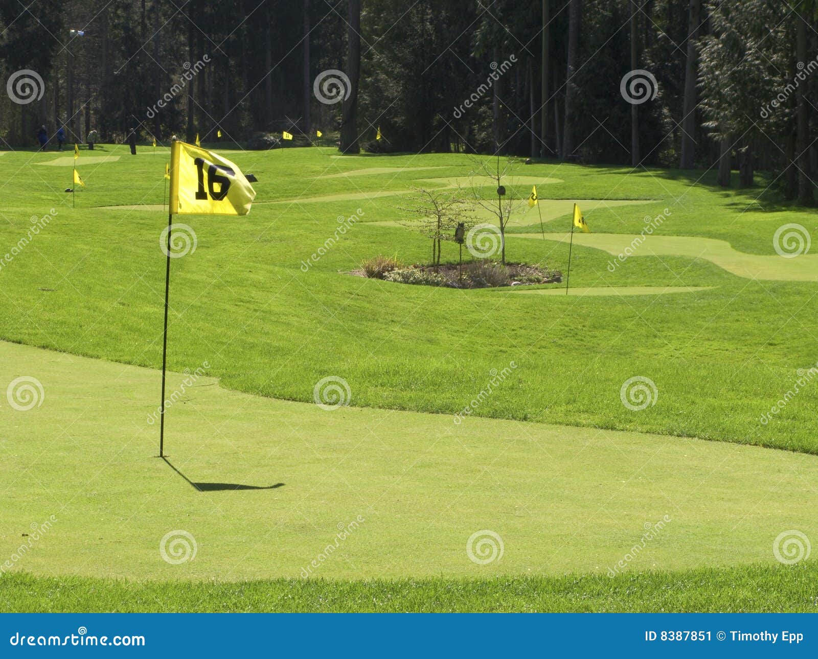 Golf putting range stock image. Image of recreation, green - 8387851