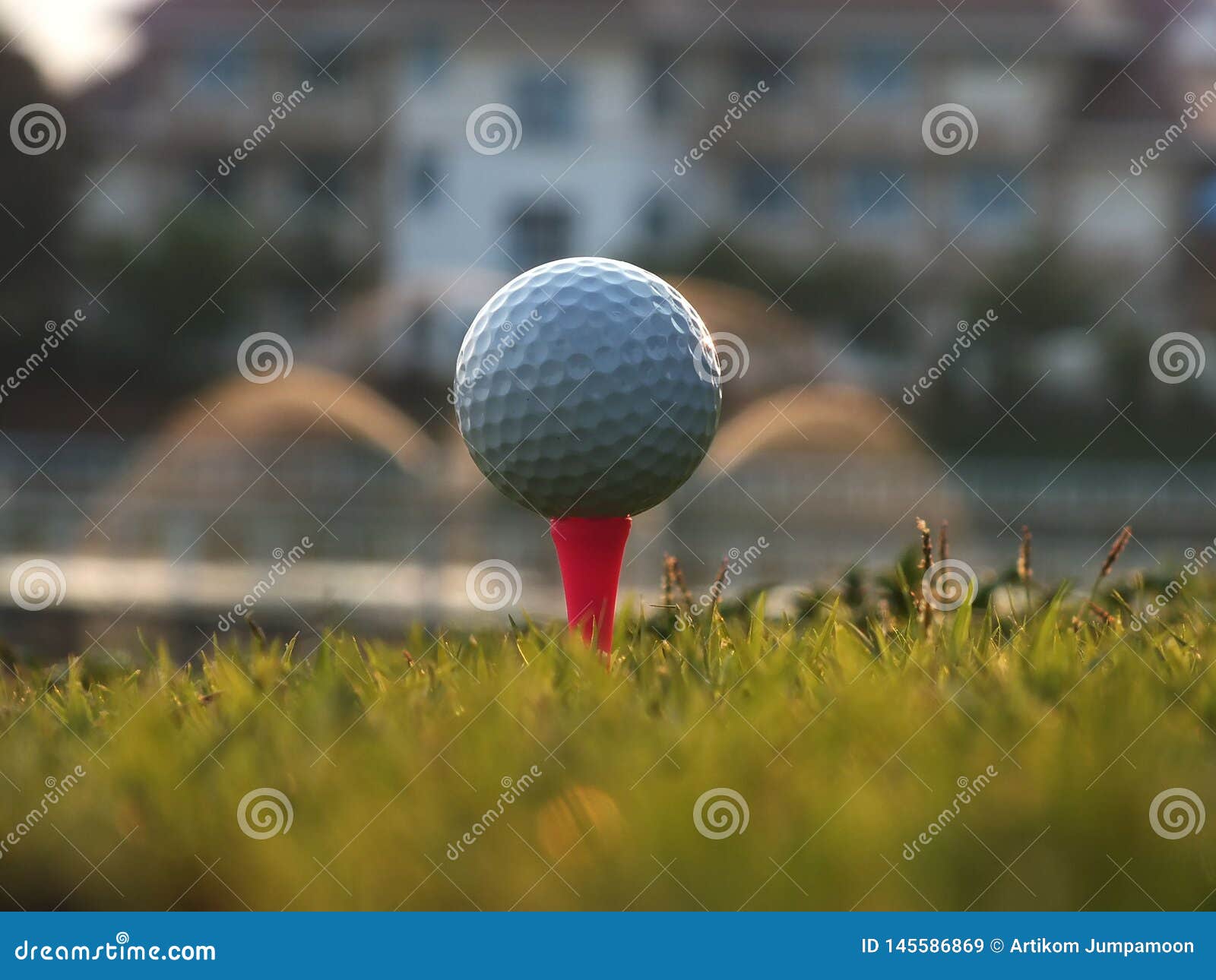 Golf on the Red Tee in the Green Lawn Stock Image - Image of golfer ...