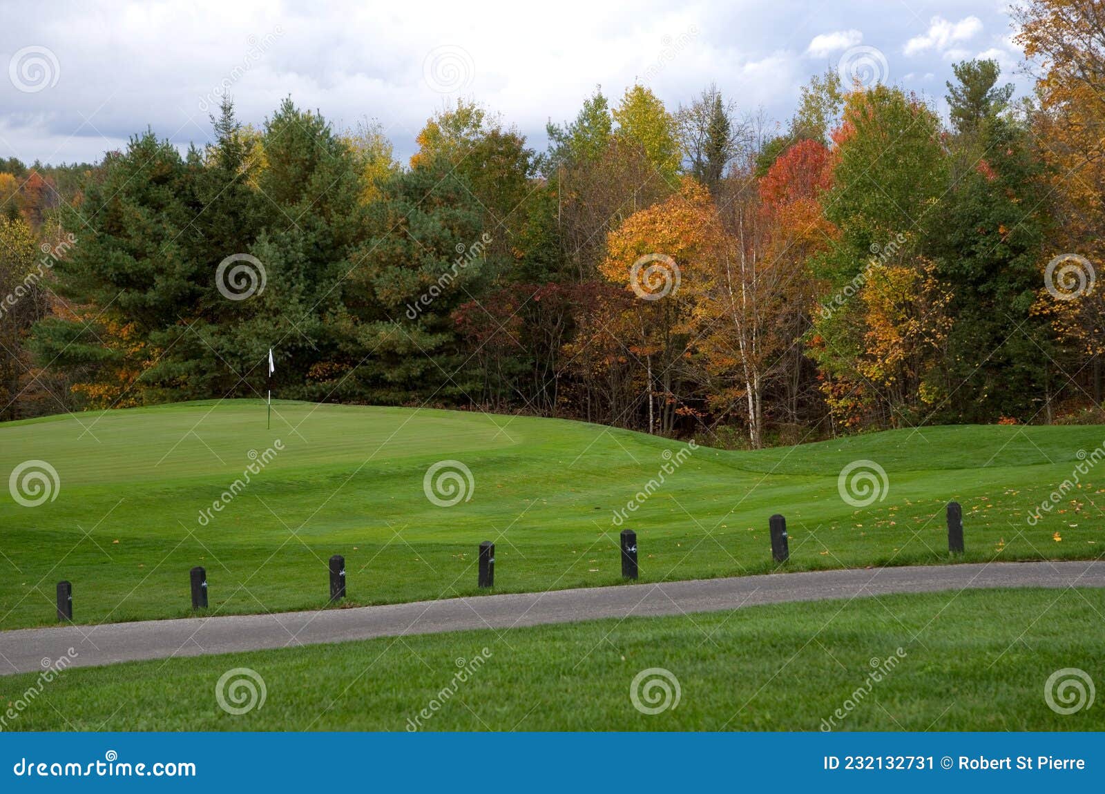 Golf Scene in the Forest during Fall Season Stock Image - Image of hole ...
