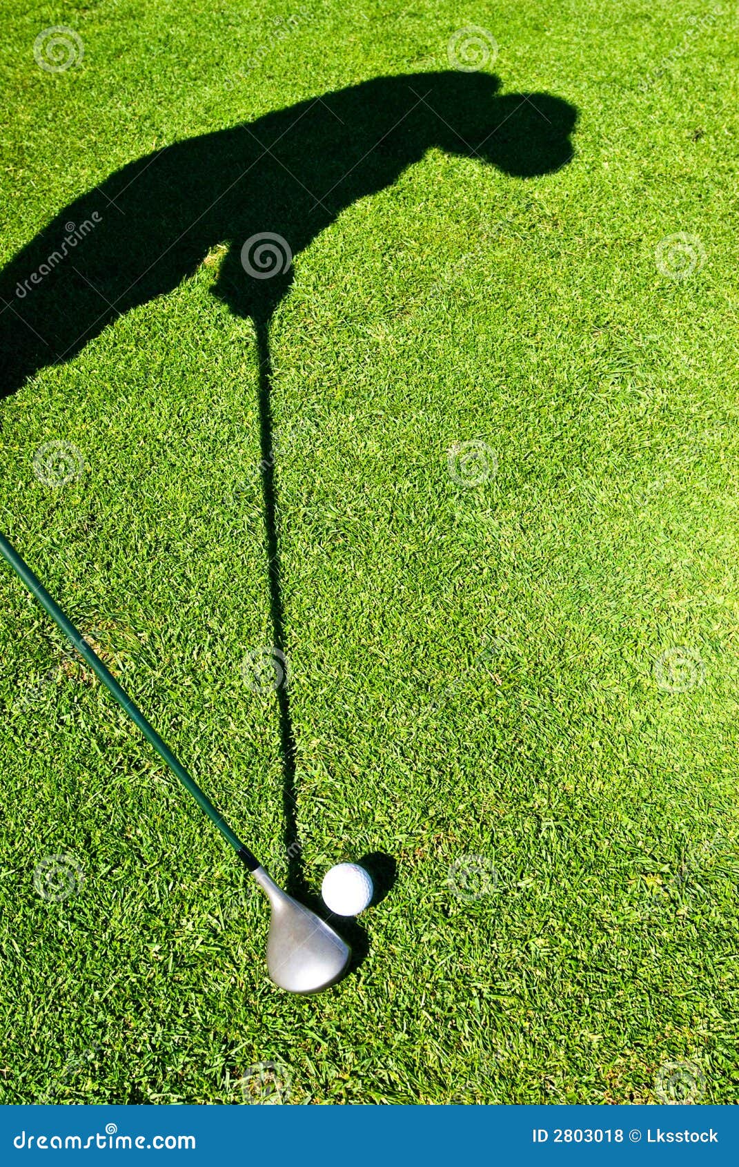 Golf shadow stock photo. Image of ball, fairway, golf - 2803018
