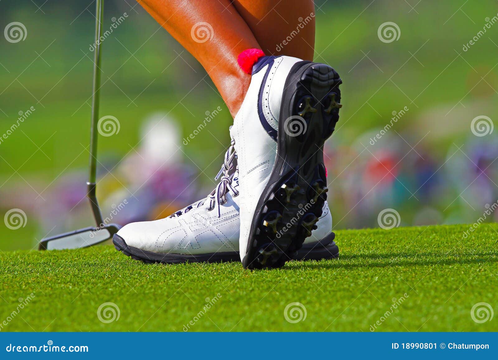 Golf shoes stock image. Image of turf, putting, recreation - 18990801