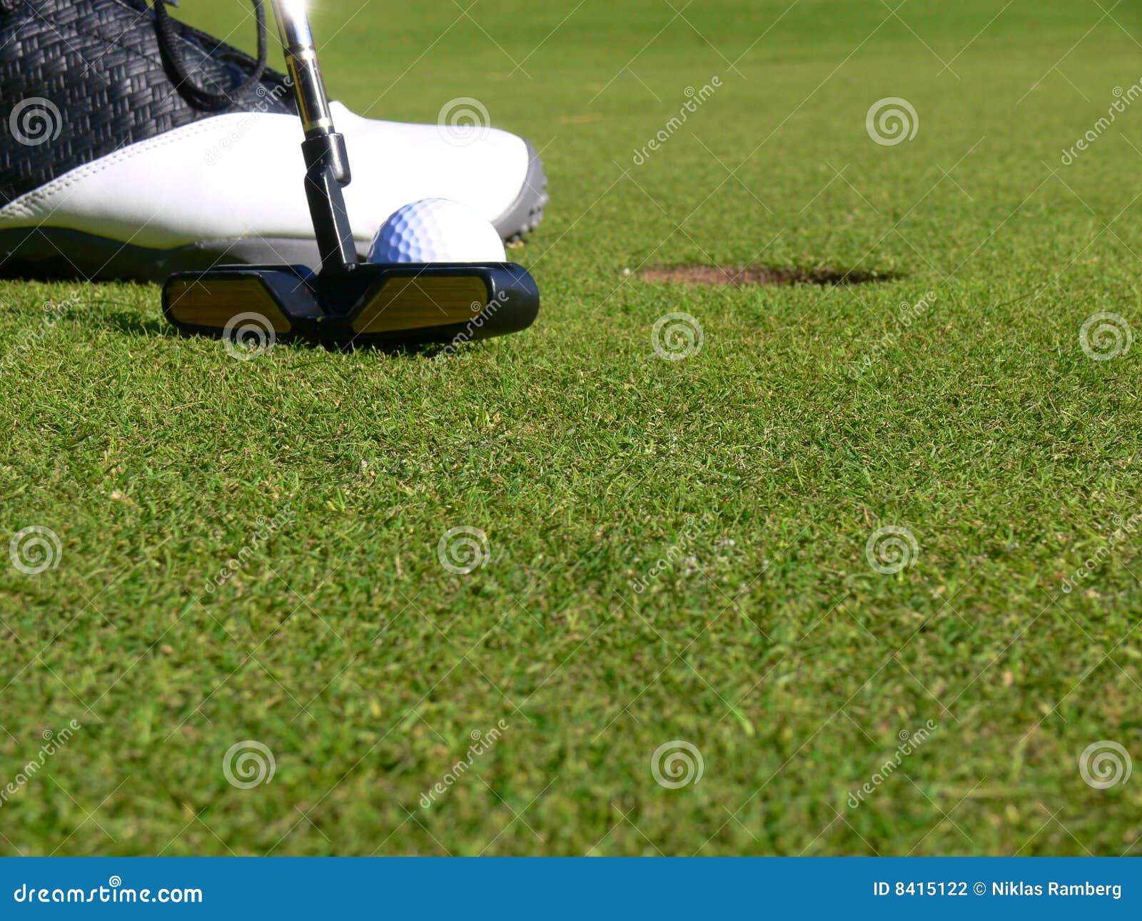 Golf - a short Putt stock photo. Image of exercise, game - 8415122