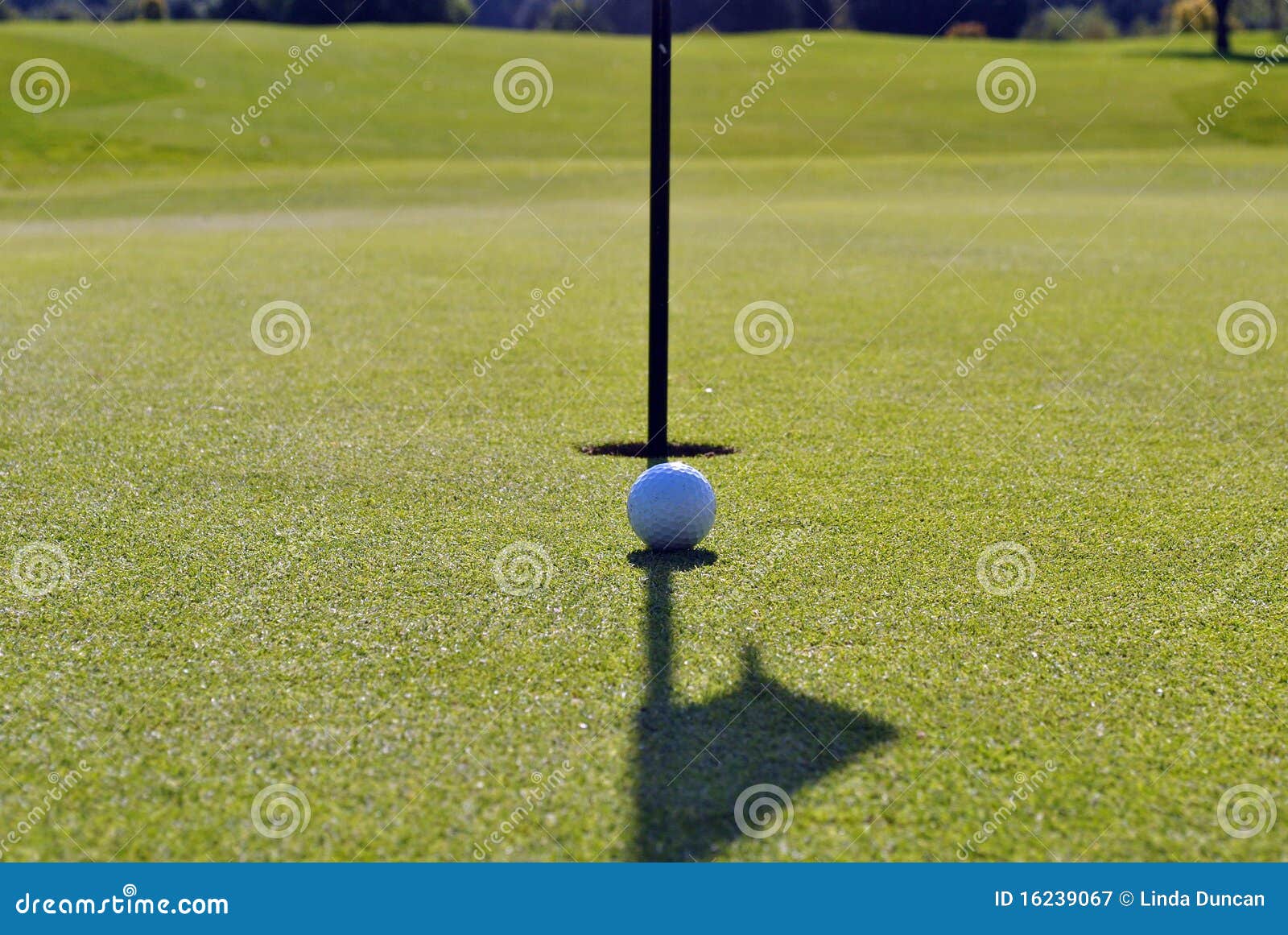 Golf shot stock image. Image of greeney, game, rural - 16239067