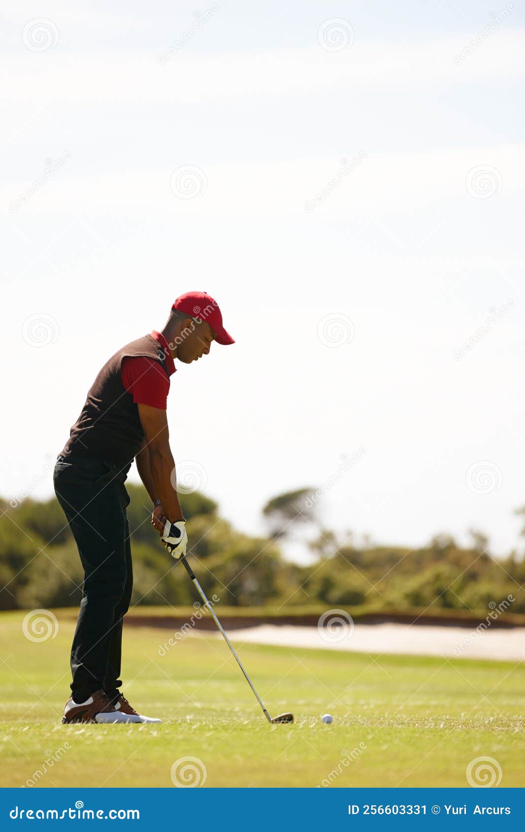 Golf Shows Strength of the Mind. Profile of a Handsome Young Man ...