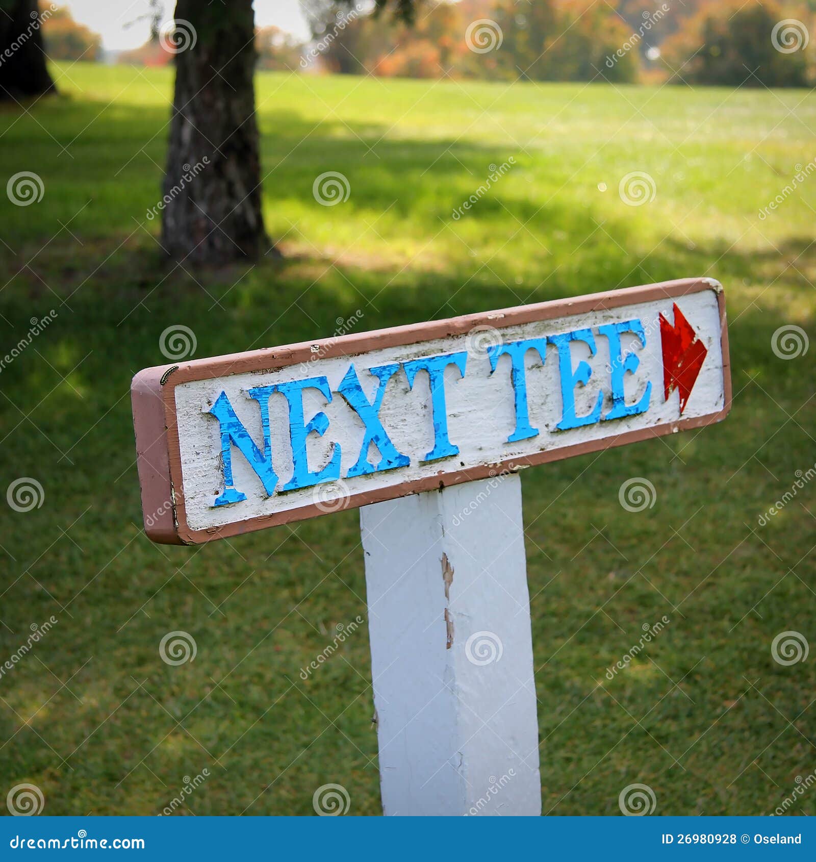 Golf Sign: Next Tee stock photo. Image of golfing, recreation - 26980928
