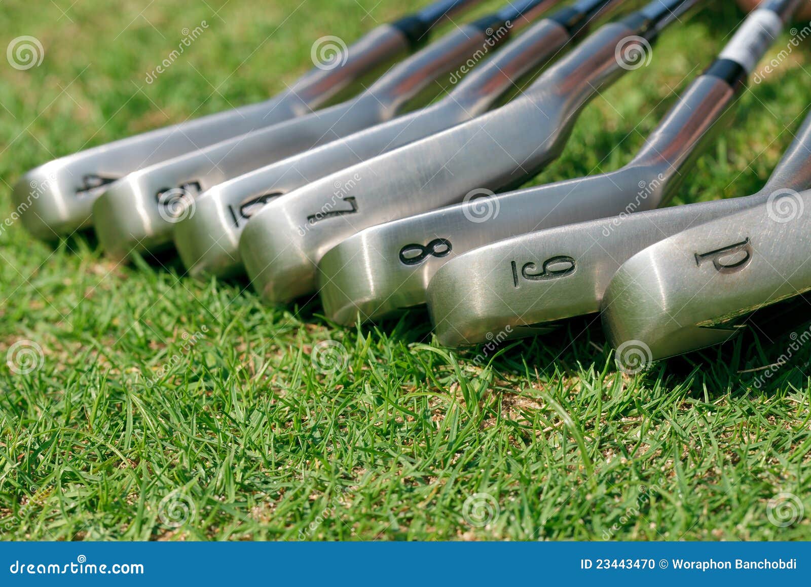 Golf Stick stock photo. Image of myrtle, oyster, chipping - 23443470