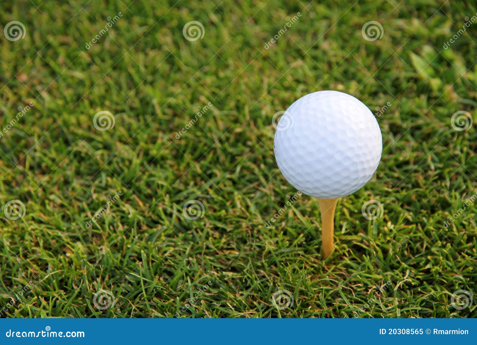Golf Tee stock image. Image of athletic, white, recreation - 20308565