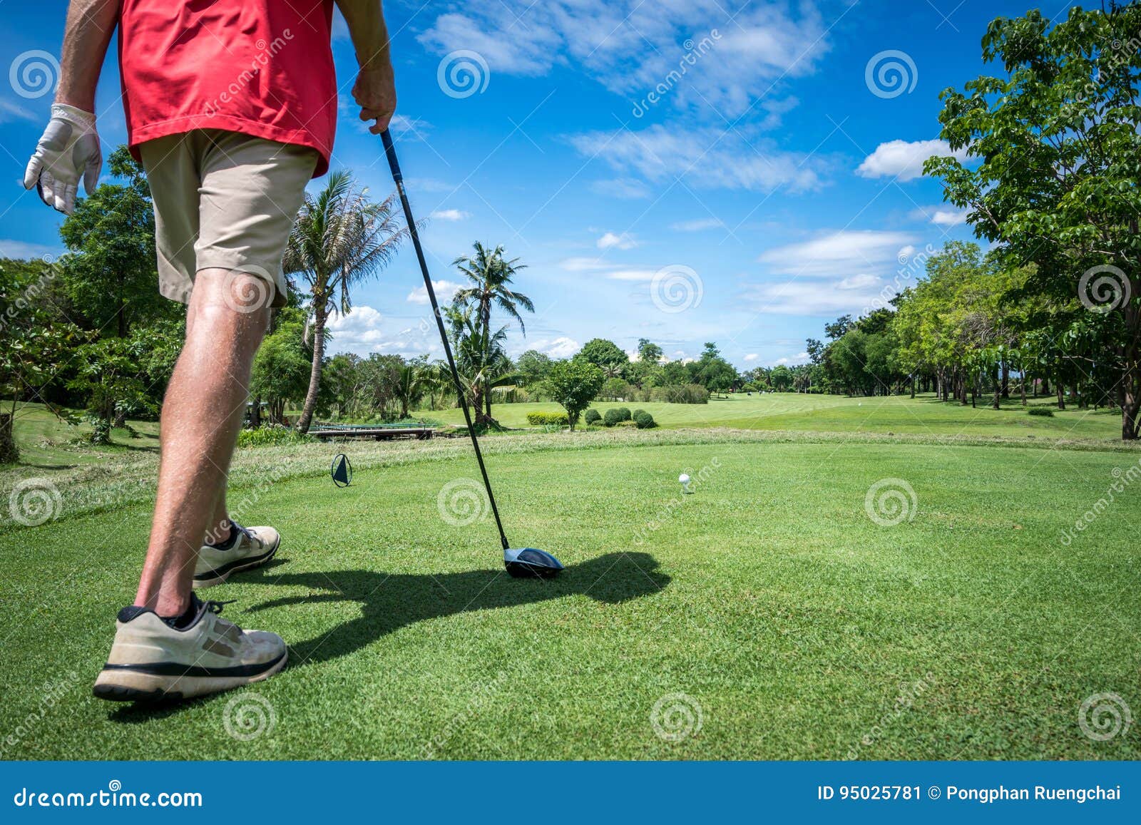 Golf tee off stock image. Image of walk, exercise, green - 95025781