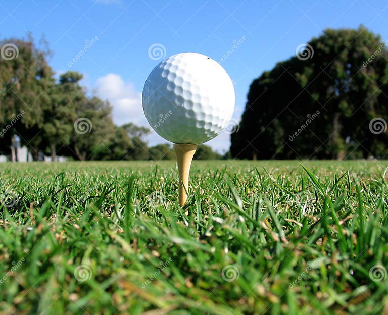 Golf Tee Shot stock image. Image of trees, golf, putt, grass - 153645