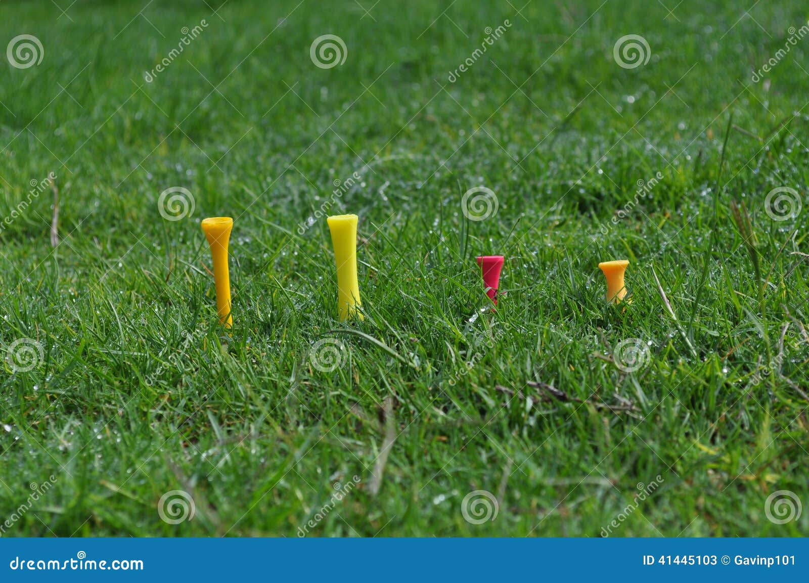 Four Fore Golf Tees in Lawn Stock Image - Image of tees, closeup: 41445103