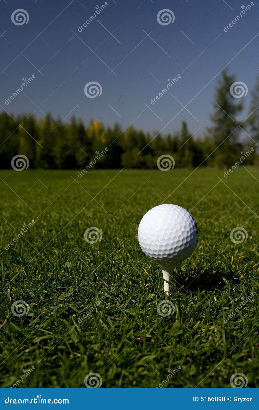 Golf Theme stock photo. Image of sports, sportground, sand - 5166090