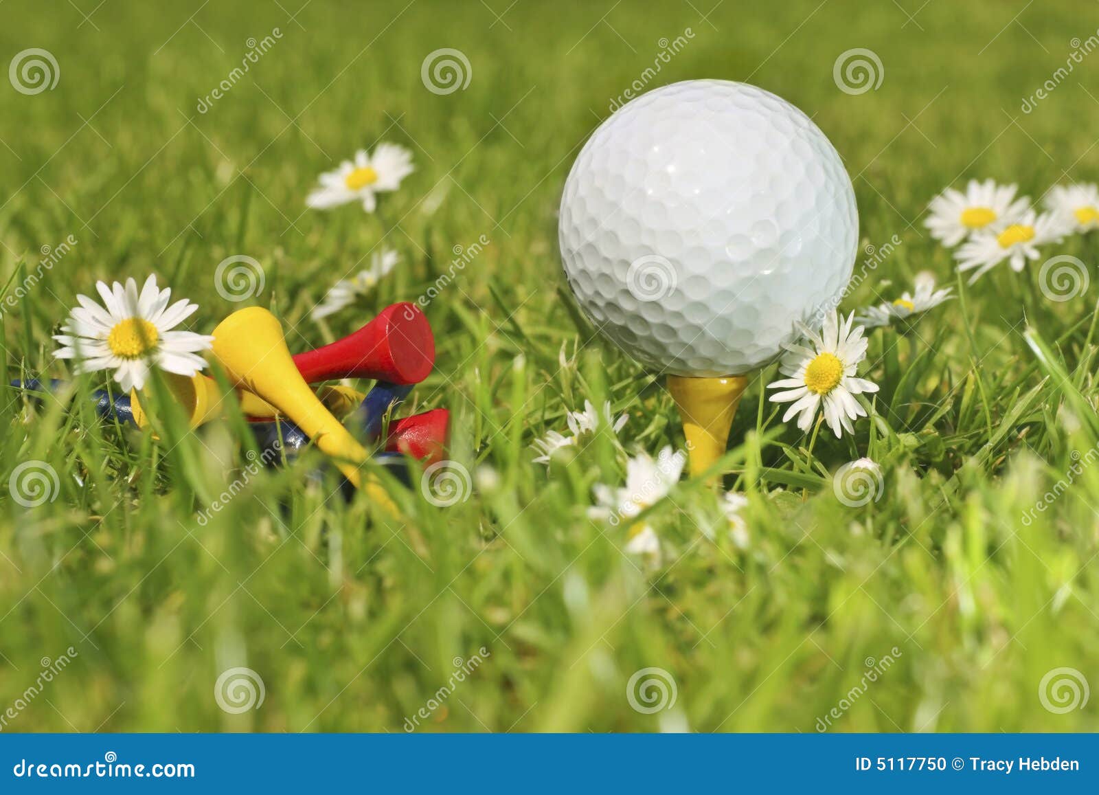 Golf time stock photo. Image of game, golf, recreation - 5117750