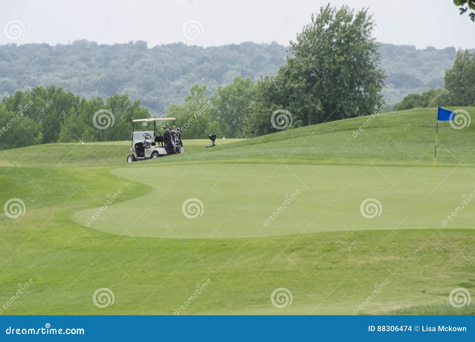 Golf turf stock photo. Image of play, recreational, game - 88306474